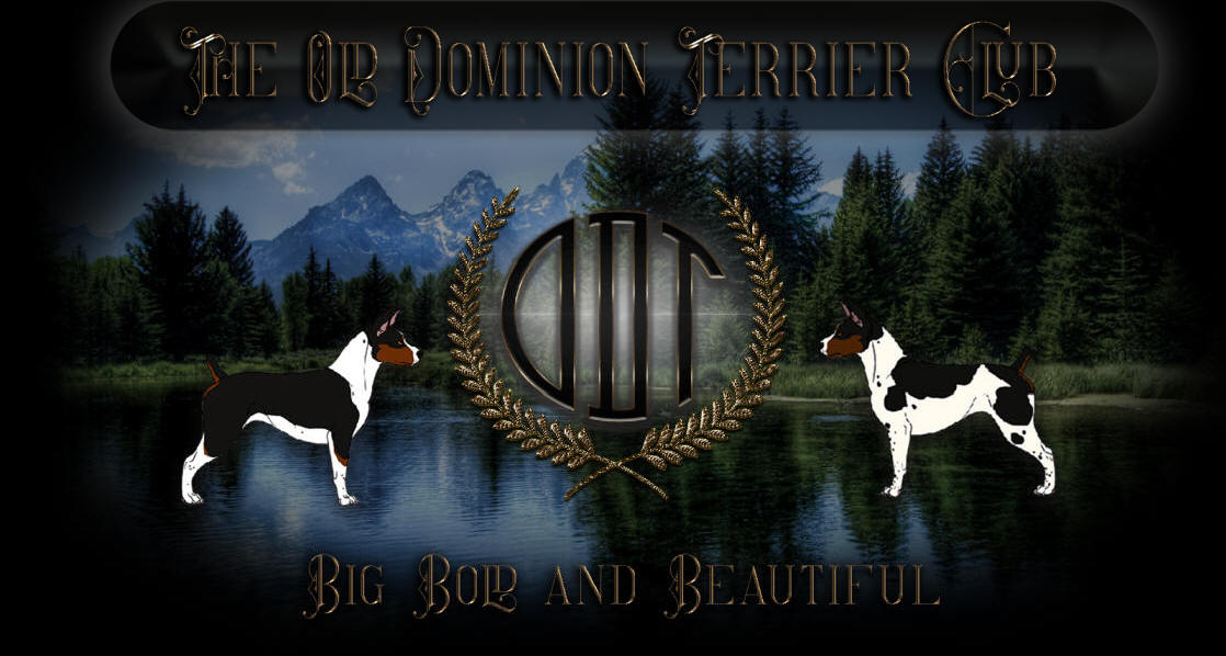 The Old Dominion Terrier Club of America